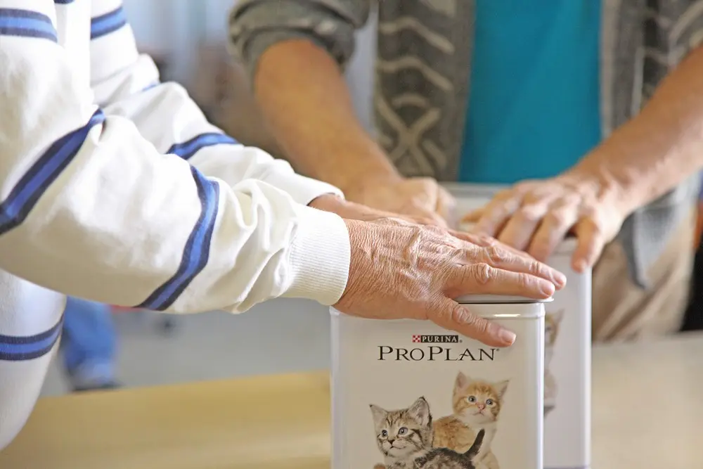 Fondation Estérelle-Arcadie